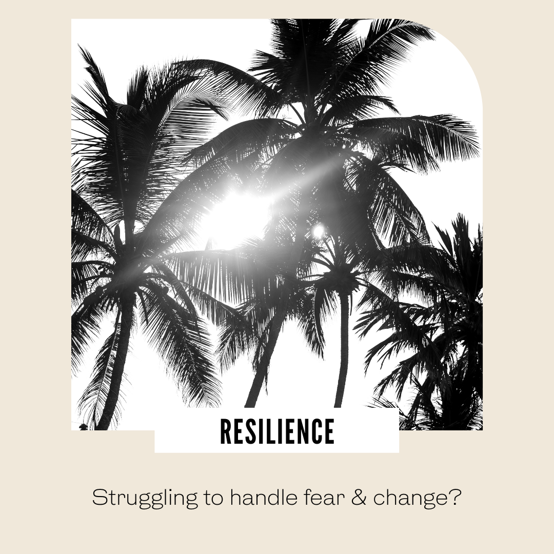 How to ‘be seen’ – SANDY ADAMS